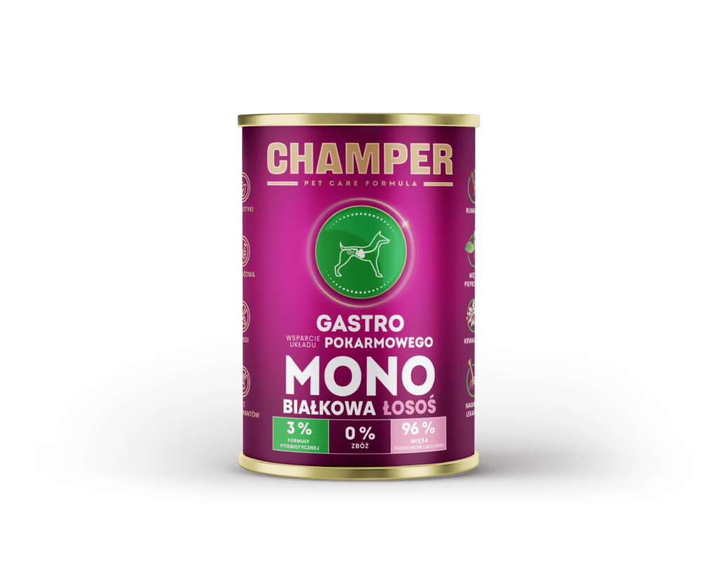 Salmon 400g - Champer